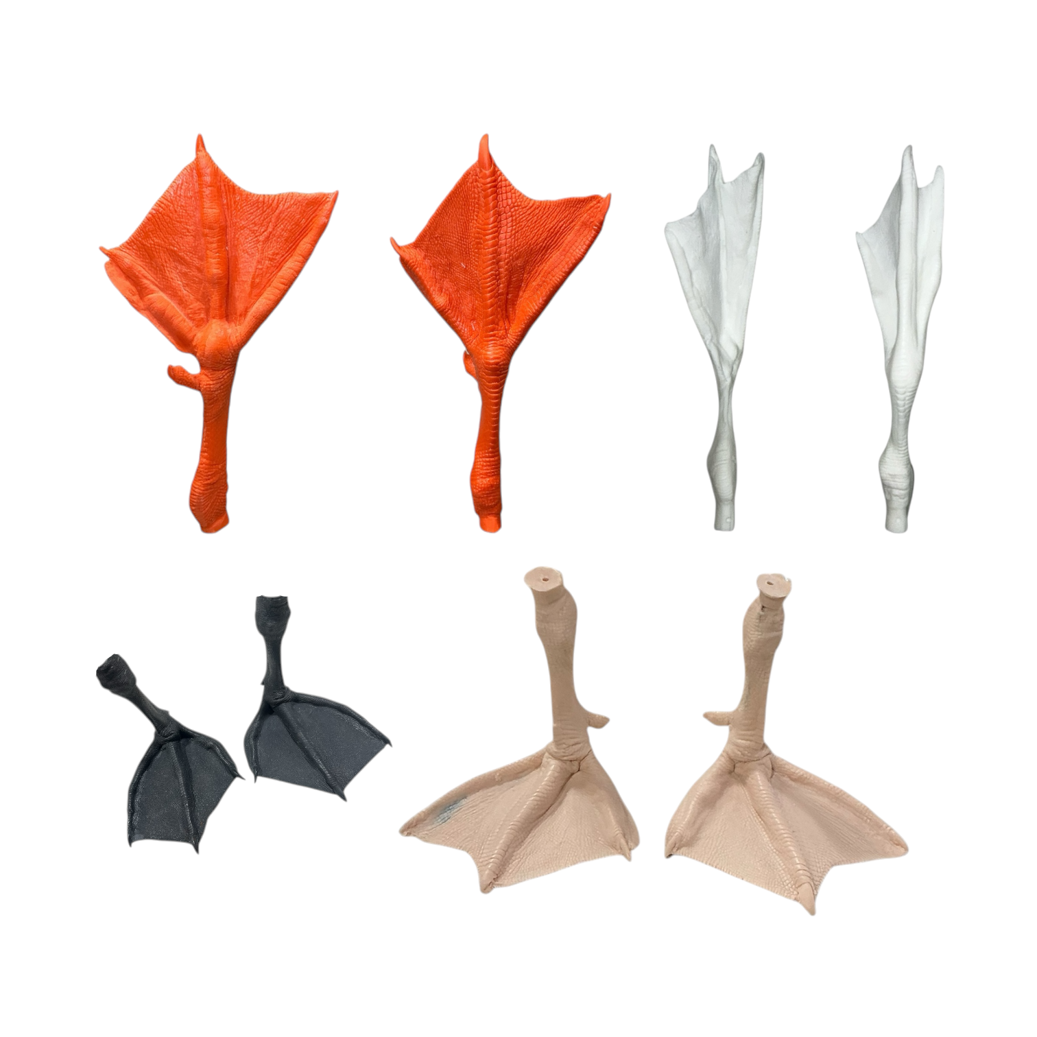 Bird Feet – RMM Taxidermy Supply